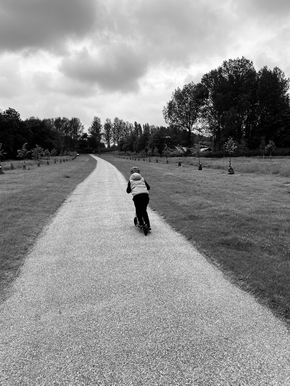 Panex-Youth _ The Research Stages – Panex Youth